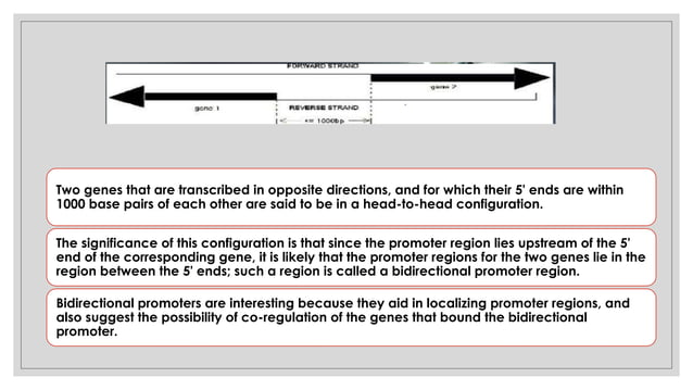 ORF, Gene Clustering, Overlapping Genes and.pptx