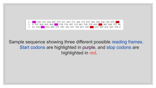 ORF, Gene Clustering, Overlapping Genes and.pptx