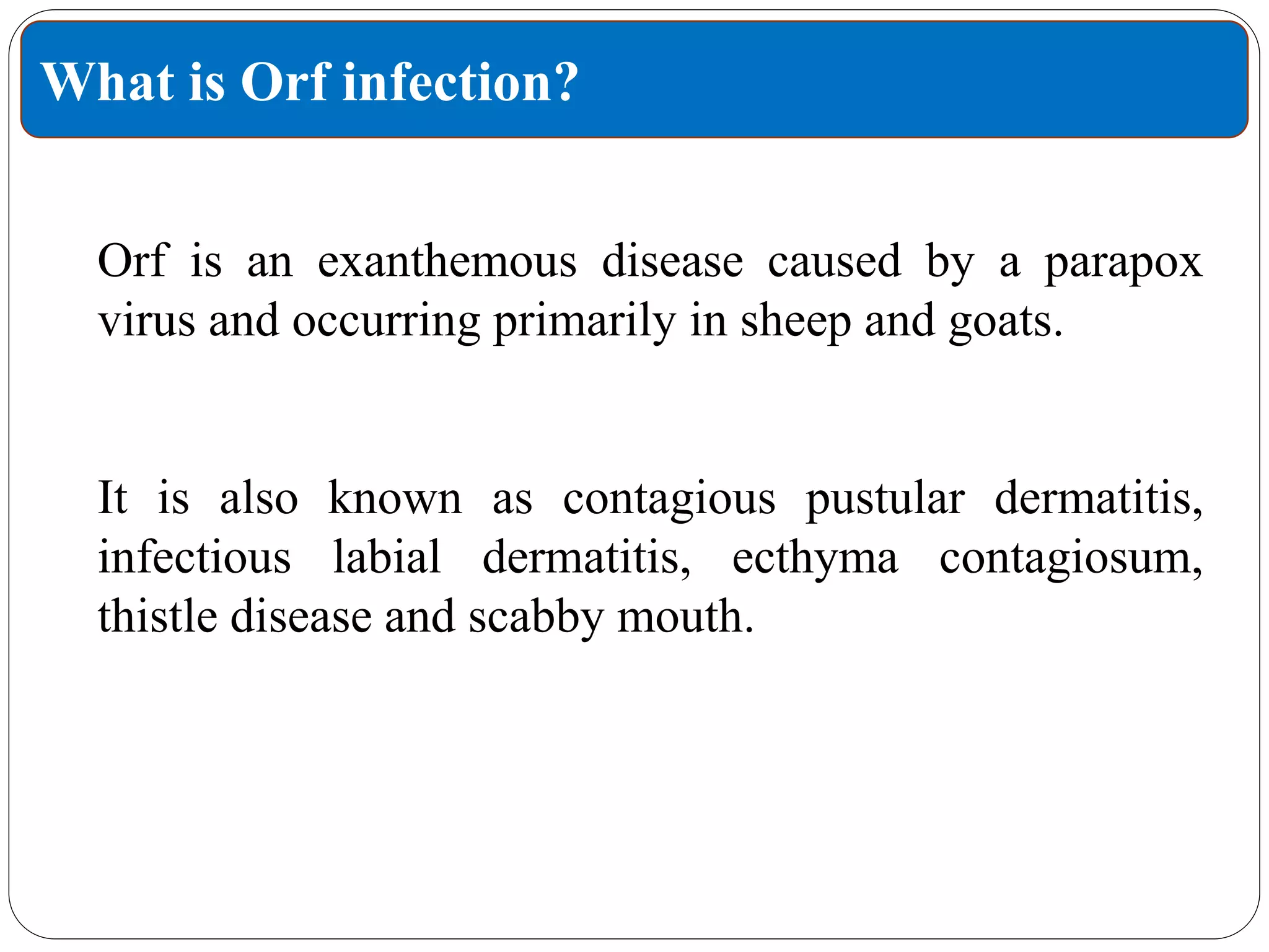 Orf infection | PPTX | Infectious Diseases | Diseases and Conditions