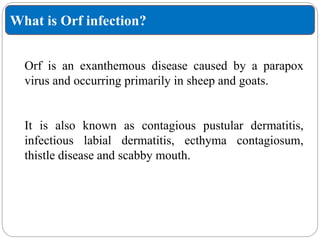 Orf infection | PPTX