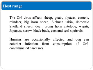Orf infection | PPTX | Infectious Diseases | Diseases and Conditions