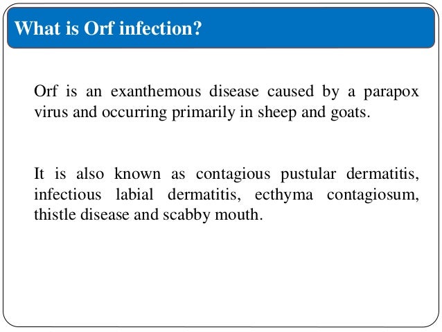 Orf infection