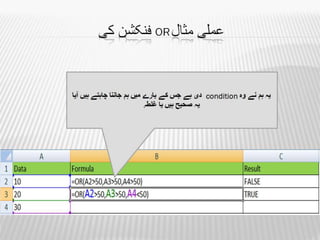 Excel OR Function in Urdu | PPTX
