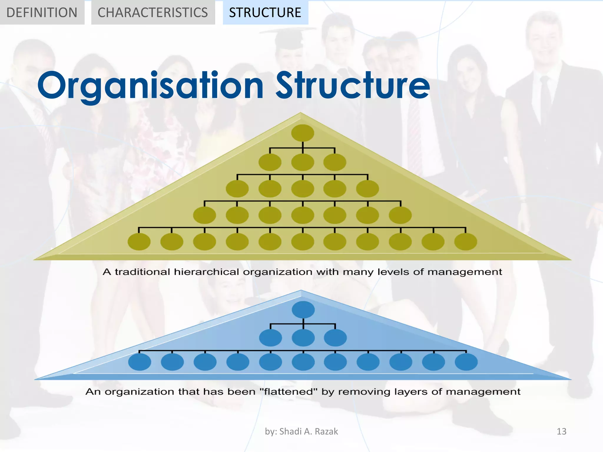 Organisation Structure and Objectives | PDF
