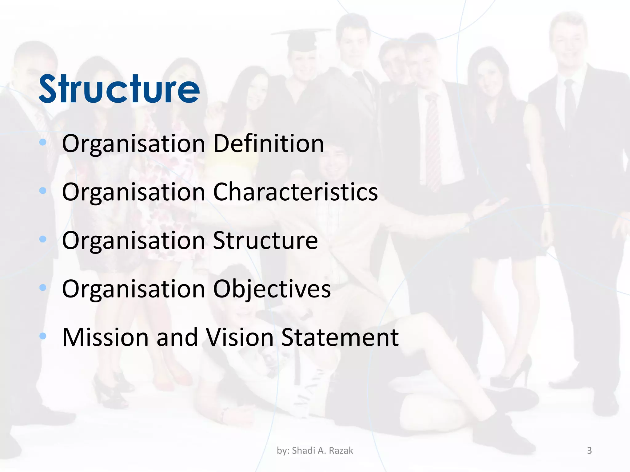 Organisation Structure and Objectives | PDF