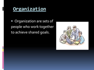 Organization.structure | PPTX | Business | Business and Finance