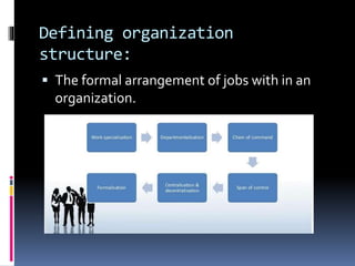 Organization.structure | PPTX | Business | Business and Finance