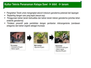 Orgadec.pptx