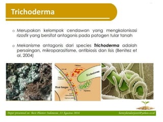 Orgadec.pptx