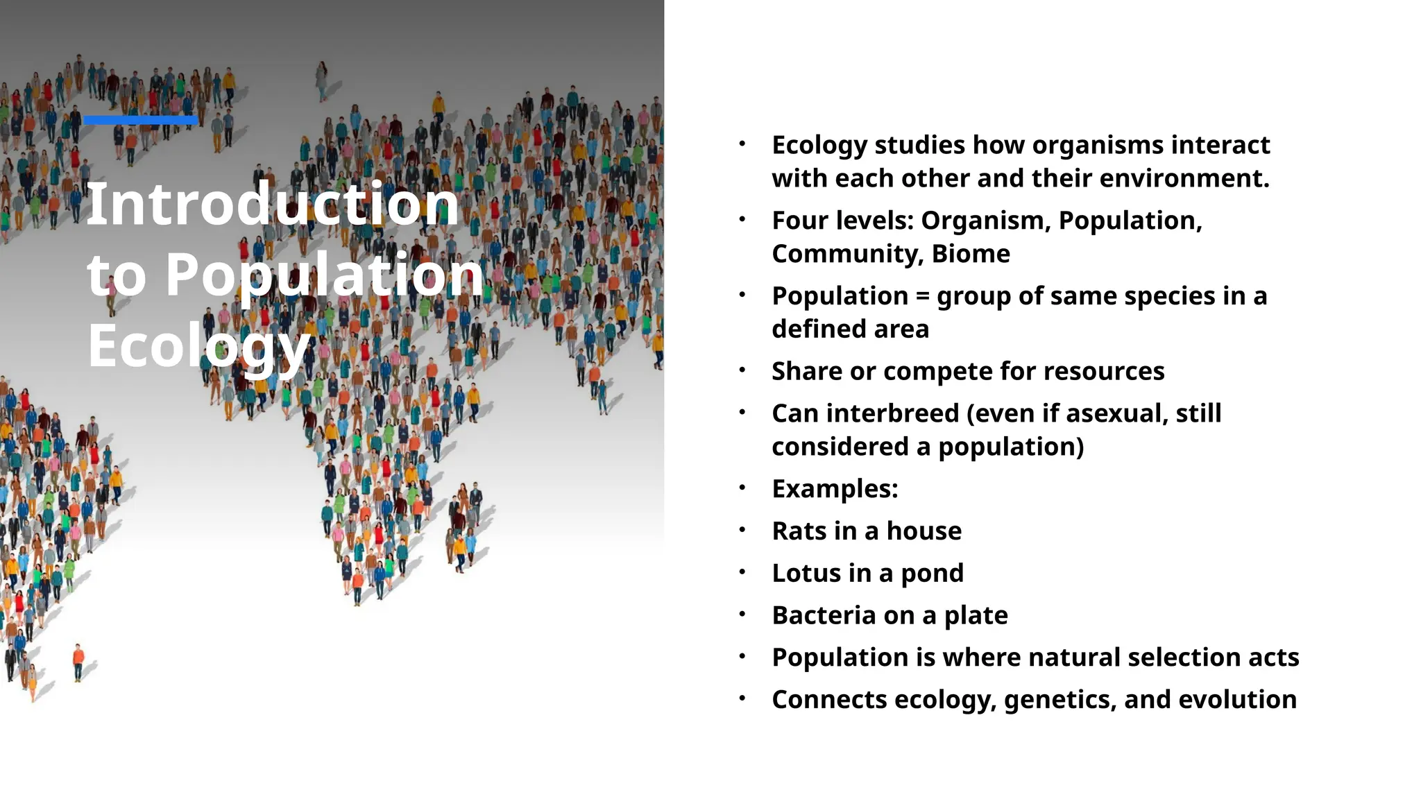 “Organisms and Populations – Class 12 Biology Presentation” | PPTX