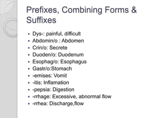 Organ:Stomach | PPTX
