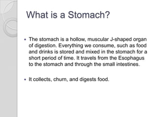Organ:Stomach | PPTX