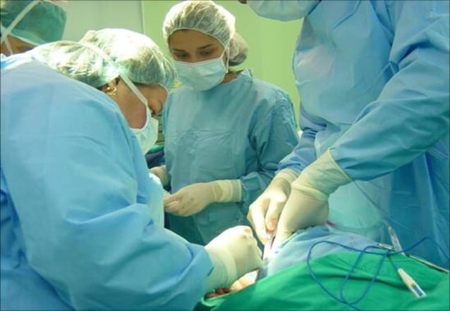 Derma Organ ("Organ Donor") | PPT