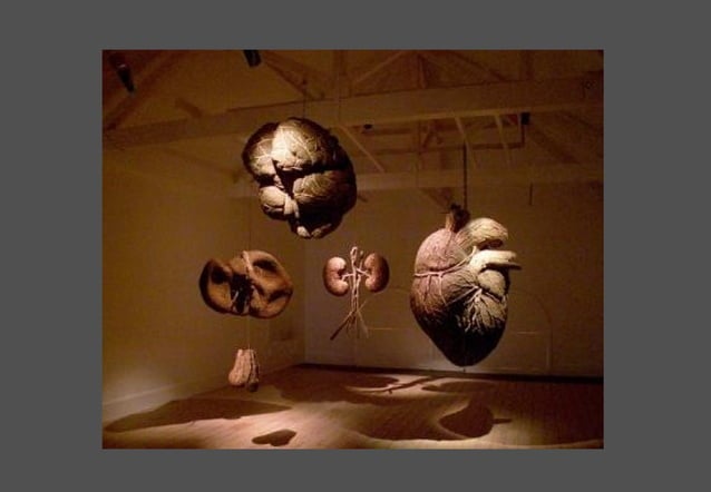 Derma Organ ("Organ Donor") | PPT