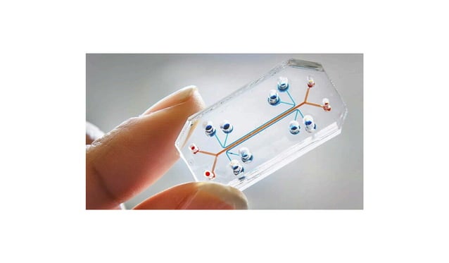 Organ-on-a-Chip-Where-Chips-Meet-Organs.pdf (2).pdf
