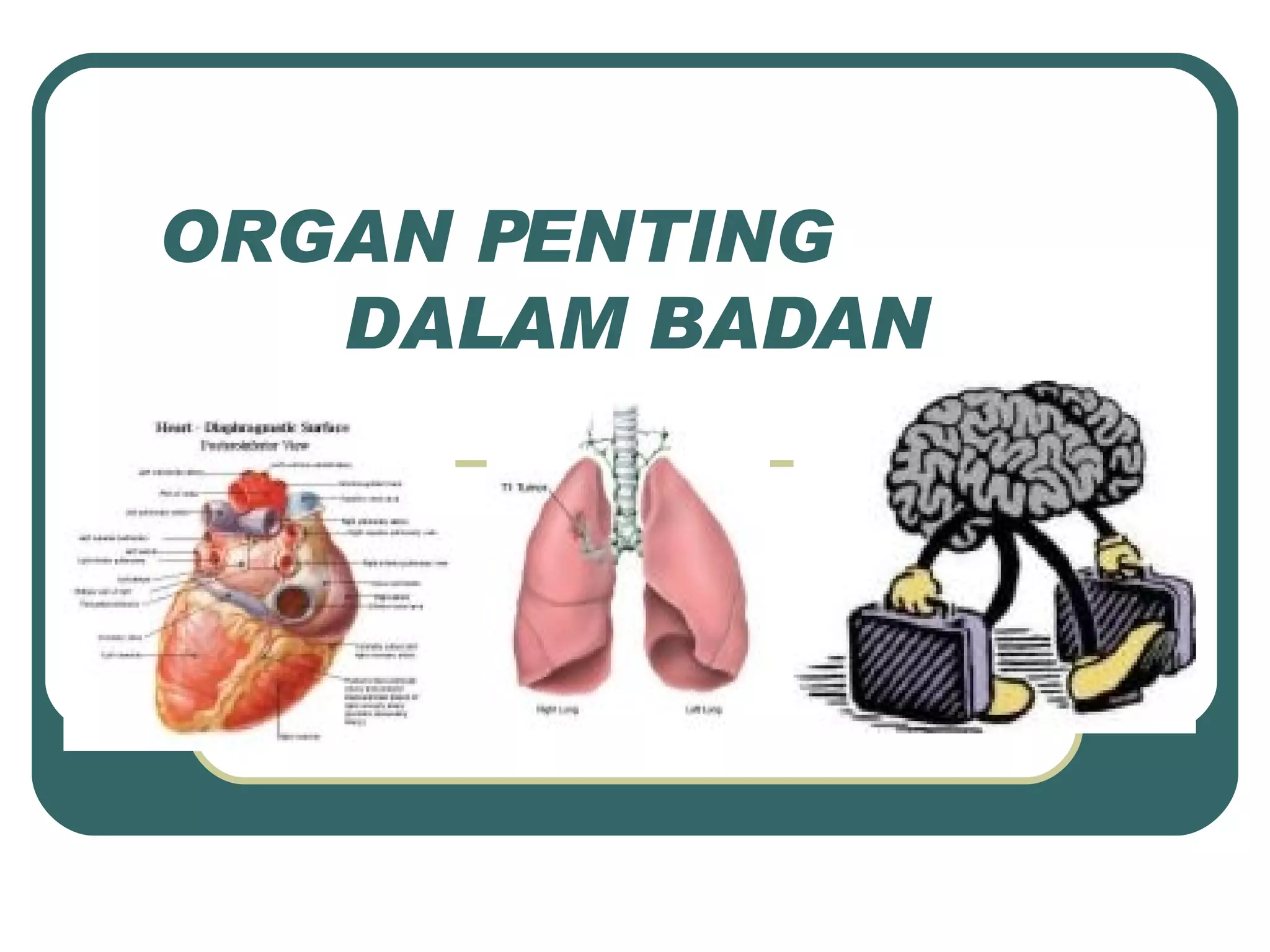 Organ Penting Dalam Badan | PPT