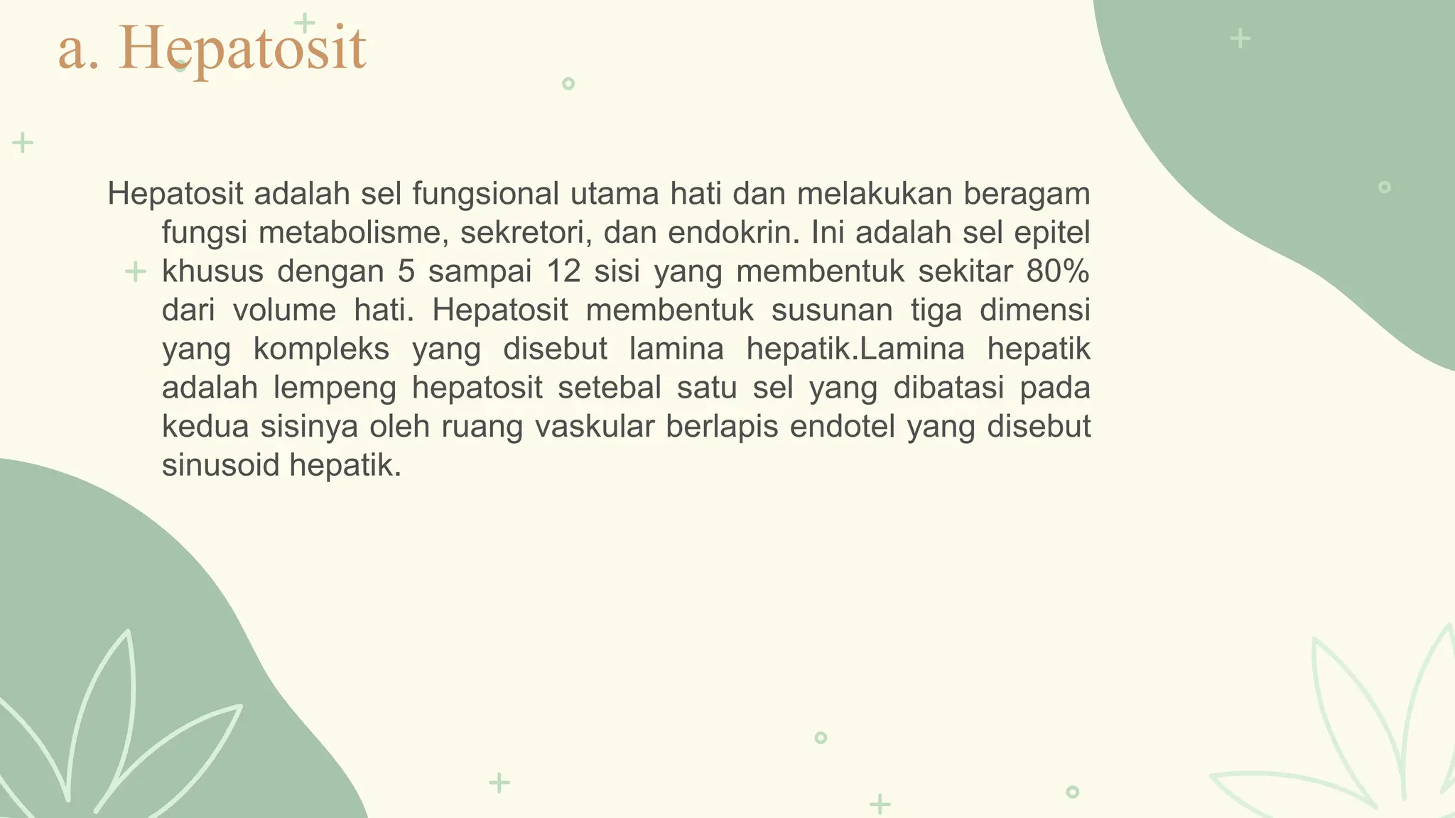 Organ Aksesori Sistem Pencernaan Tubuh.pptx