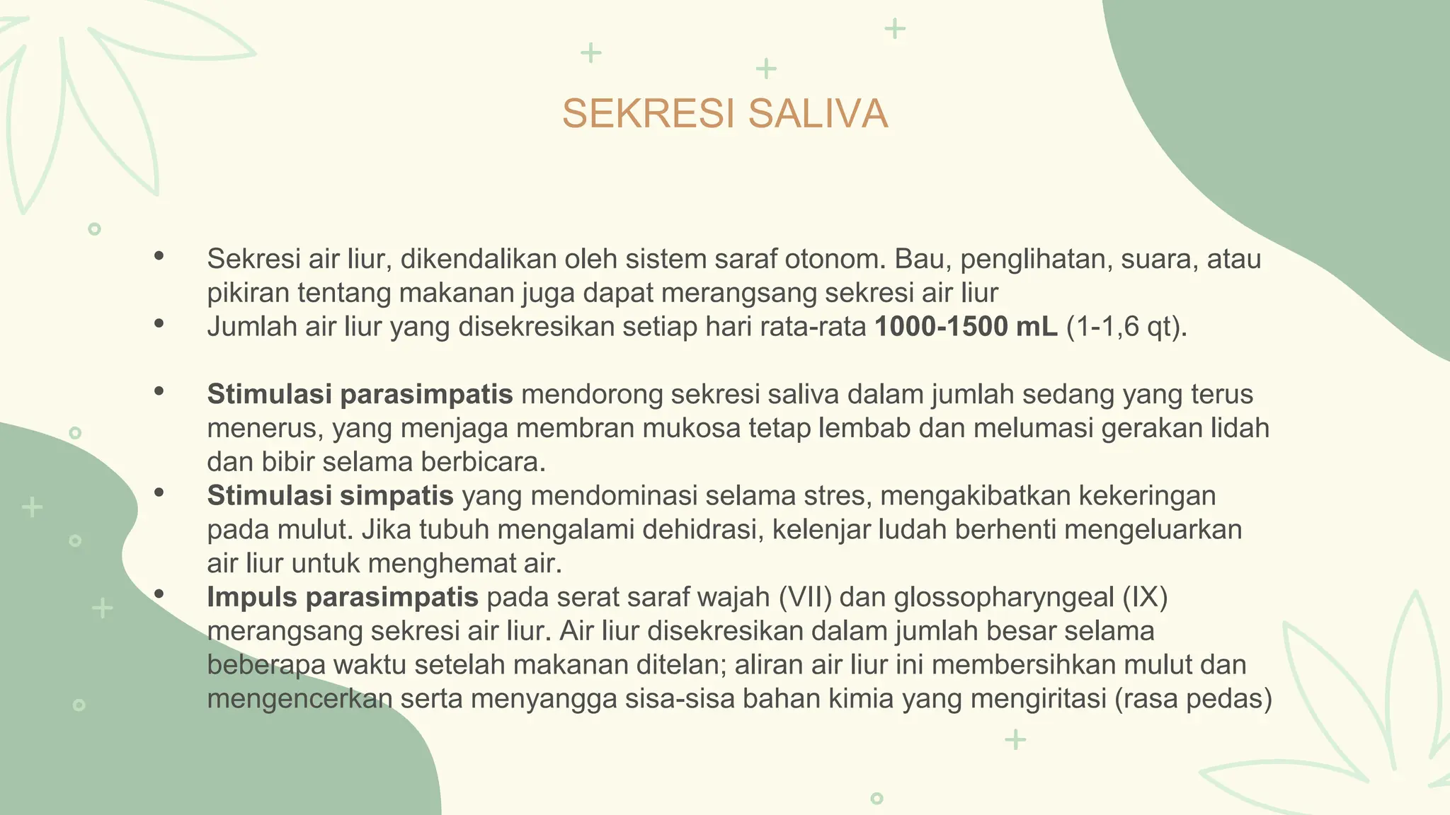 Organ Aksesori Sistem Pencernaan Tubuh.pptx