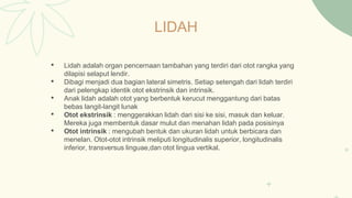 Organ Aksesori Sistem Pencernaan Tubuh.pptx
