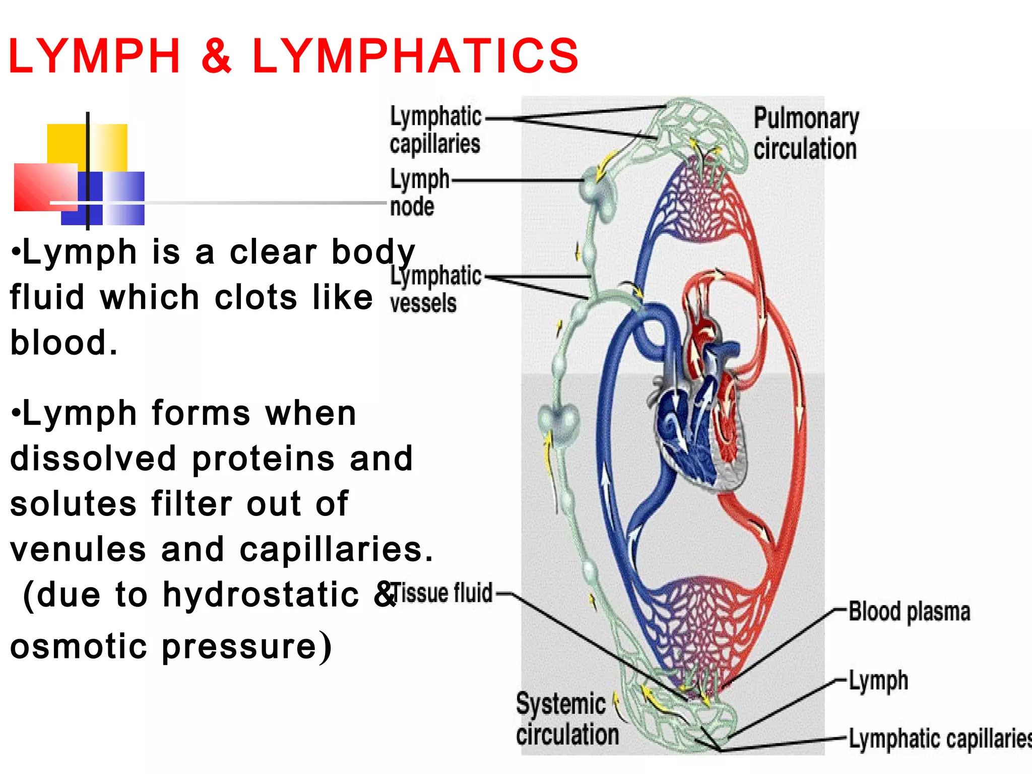Organ and tissues of immune system | PPT