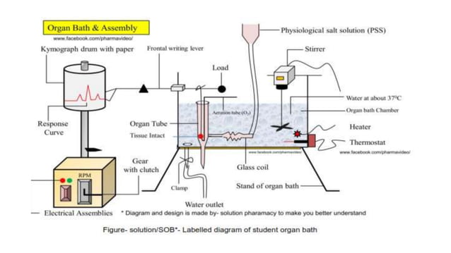 Organ Bath tentang alat analisis obat dan | PPTX