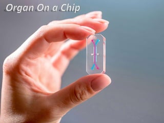 Organ chip ppt | PPTX