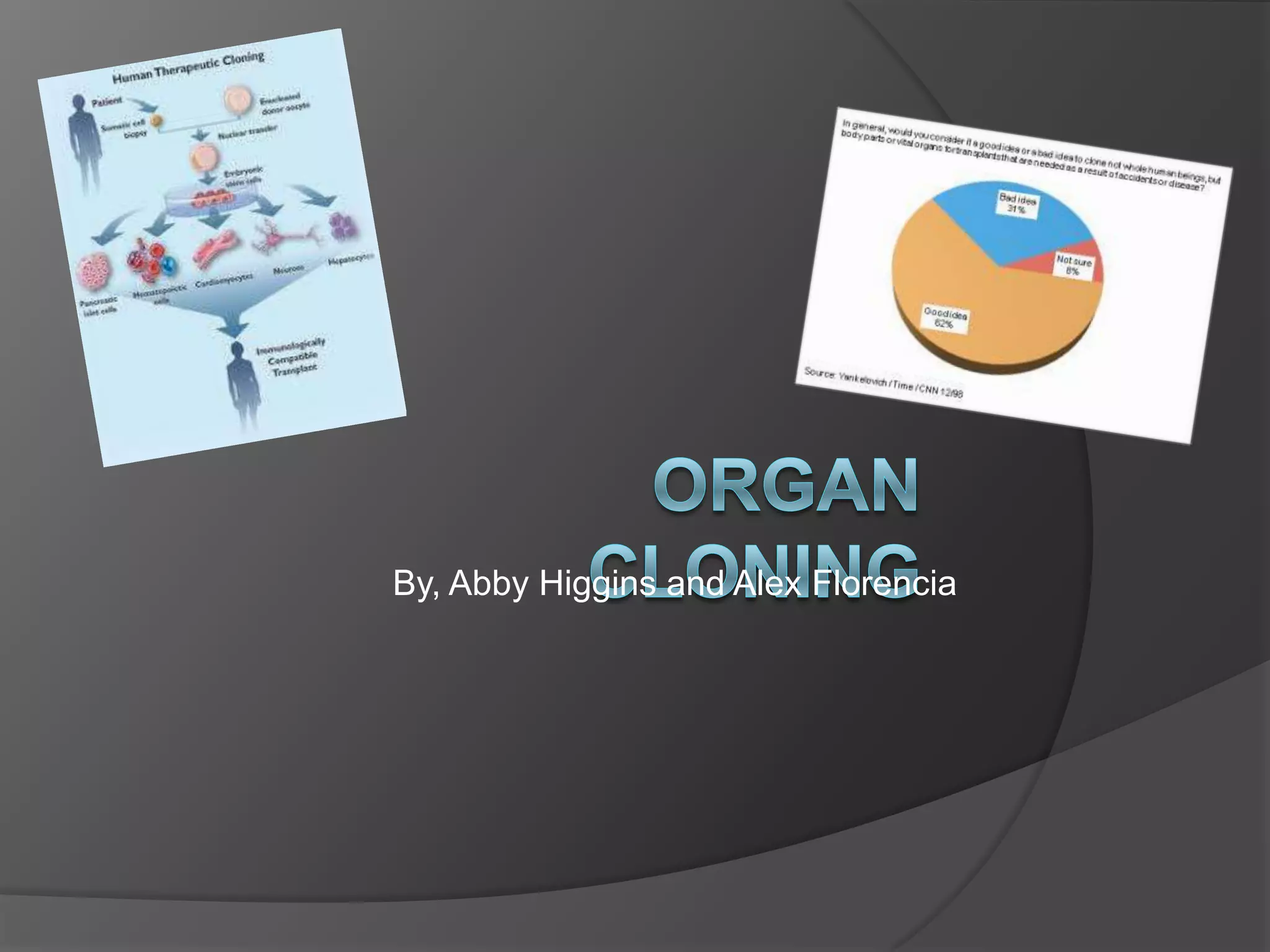 Organ cloning | PPT