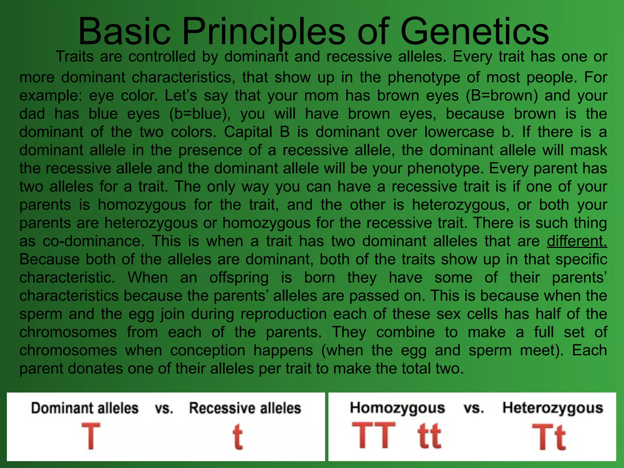 Organ cloning project revised | KEY