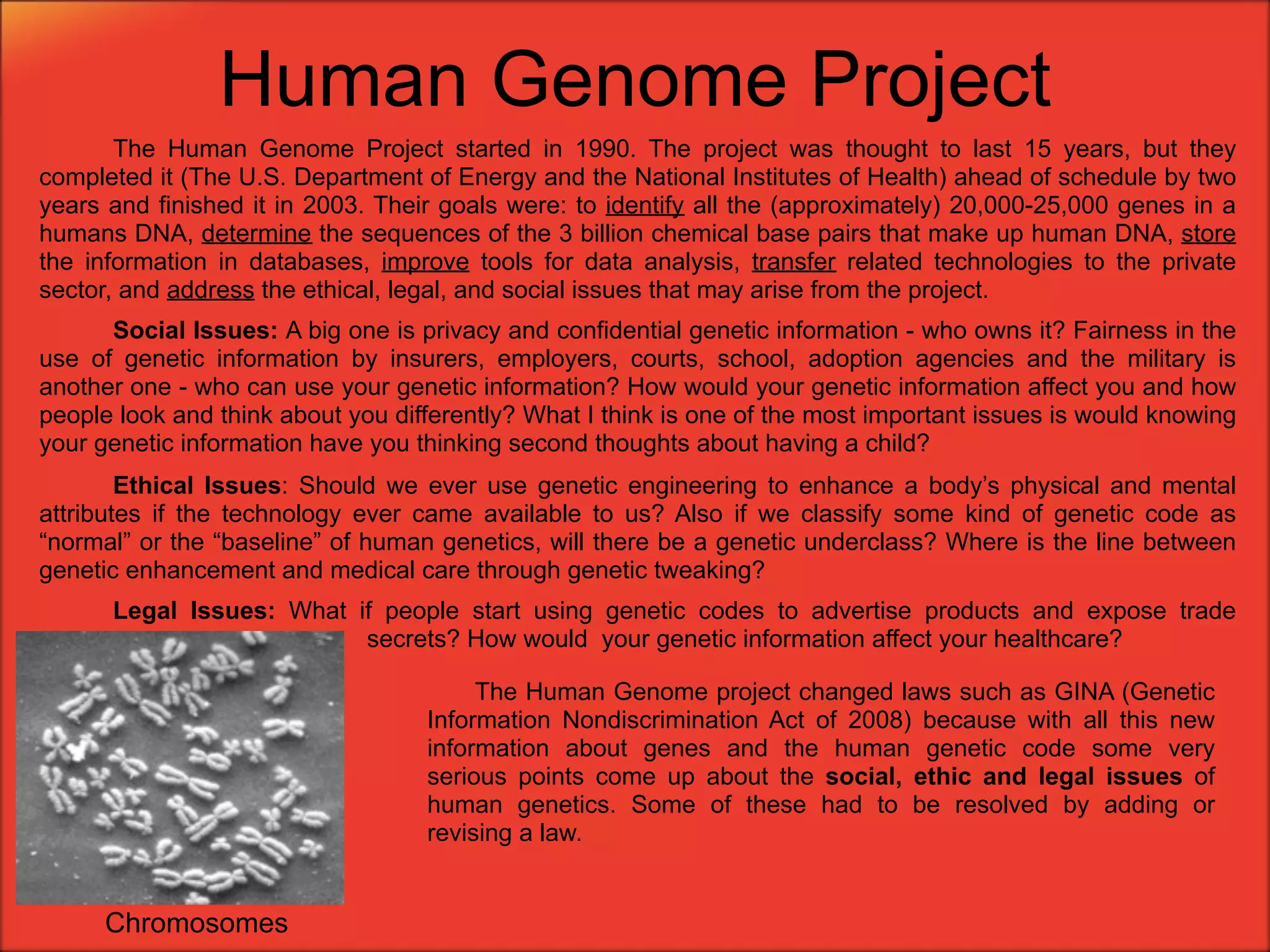 Organ cloning project revised | KEY