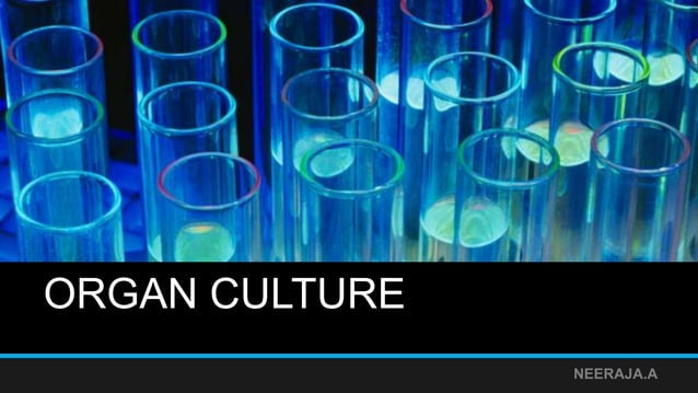 Organ culture technique in synthetic media- animal tissue culture ...