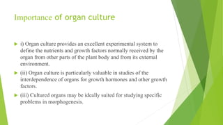 organ culture.pptx