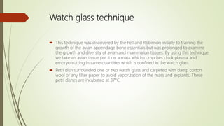 Organ culture pptt | PPTX | Skin Care | Beauty