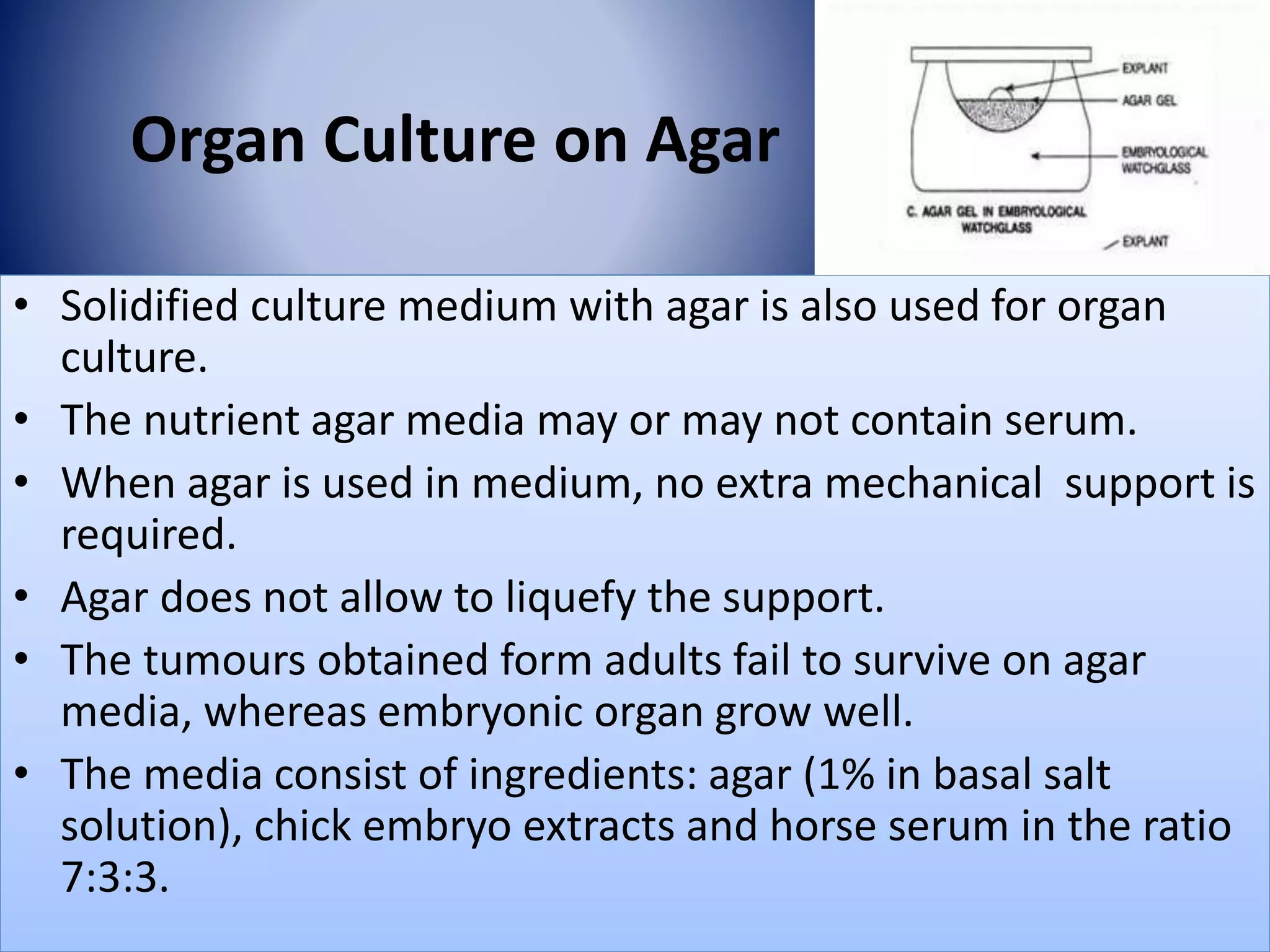 Organ culture- animal tissue culture | PPTX