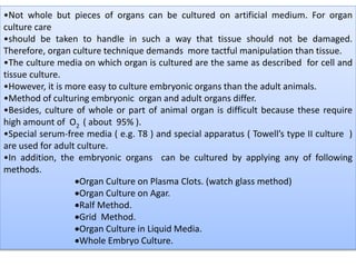 Organ culture- animal tissue culture | PPTX