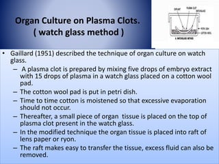 Organ culture- animal tissue culture | PPTX