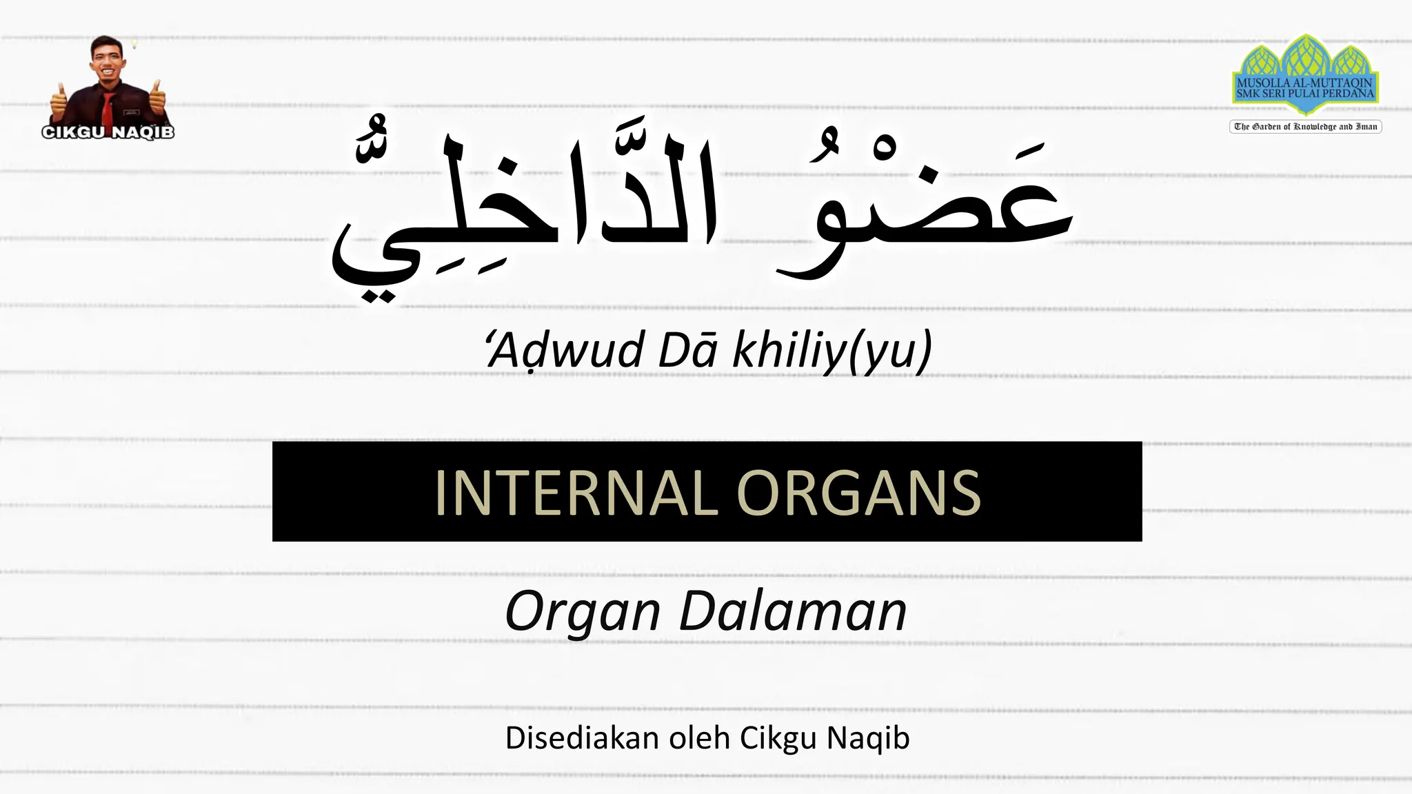 Organ Dalaman (عضو الداخلي) - Internal Organs (Bahasa Arab) | PPT