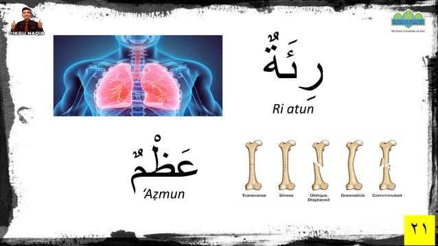 Organ Dalaman (عضو الداخلي) - Internal Organs (Bahasa Arab) | PPT