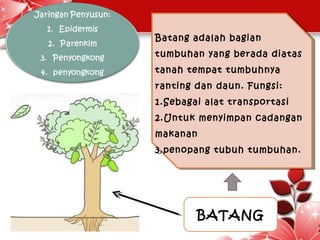 Organ dan sistem organ pada tumbuhan dan manusia | PPT