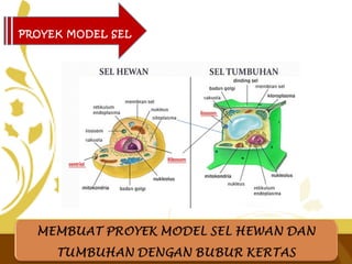 Organ dan sistem organ pada tumbuhan dan manusia | PPT