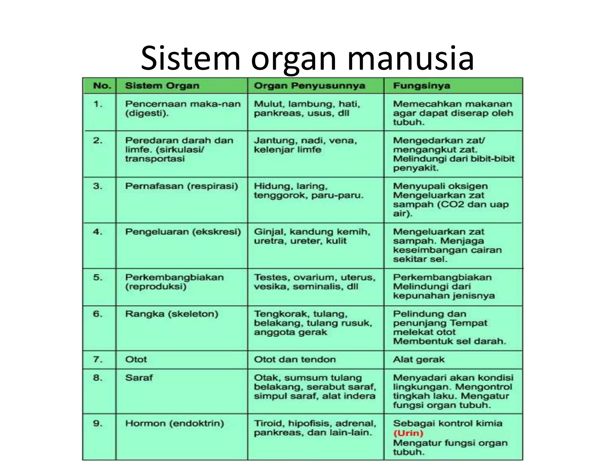 Organ dan sistem organ manusia | PPTX