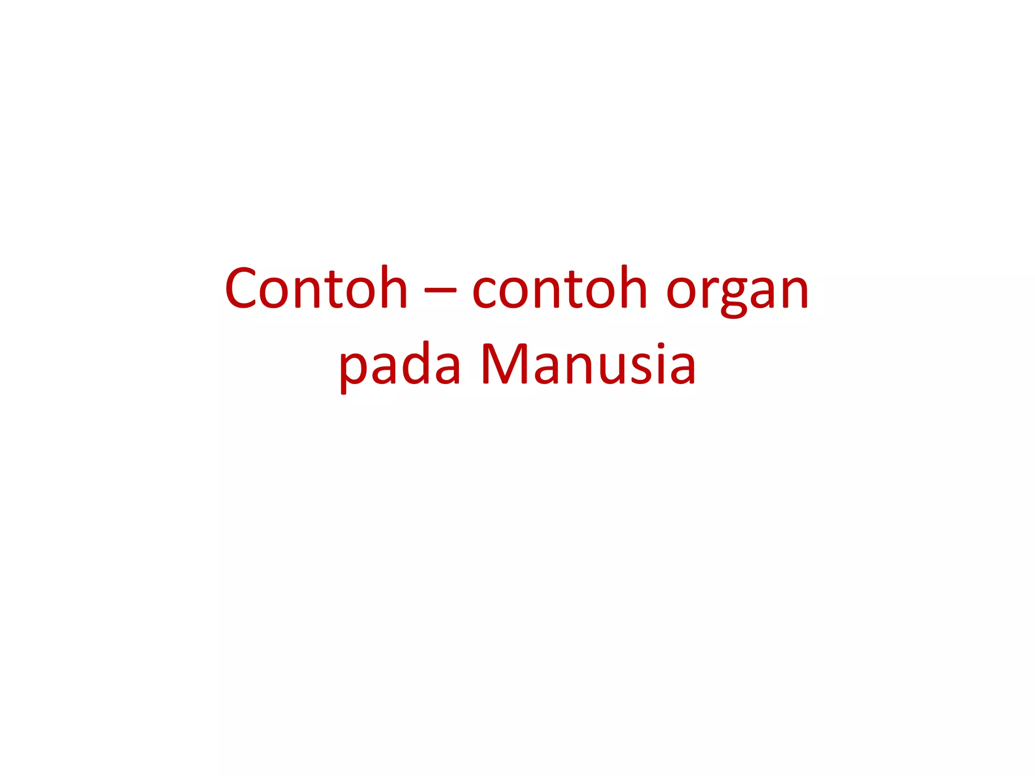 Organ dan sistem organ manusia | PPTX