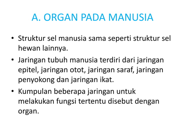 Organ dan sistem organ manusia | PPTX