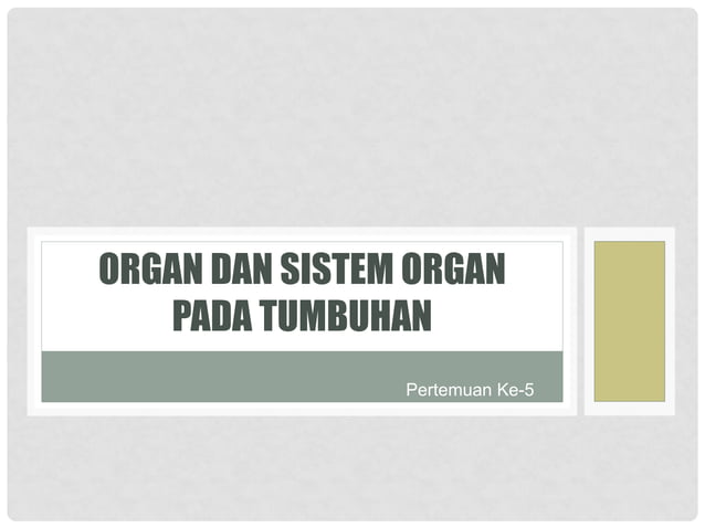 ORGAN DAN SISTEM ORGAN PADA TUMBUHAN. Pertemuan Ke-5.pdf