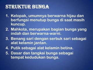 Organ daun dan bunga pada tumbuhan | PPTX