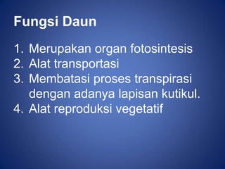 Organ daun dan bunga pada tumbuhan | PPTX