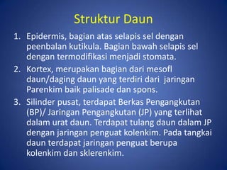 Organ daun dan bunga pada tumbuhan | PPTX