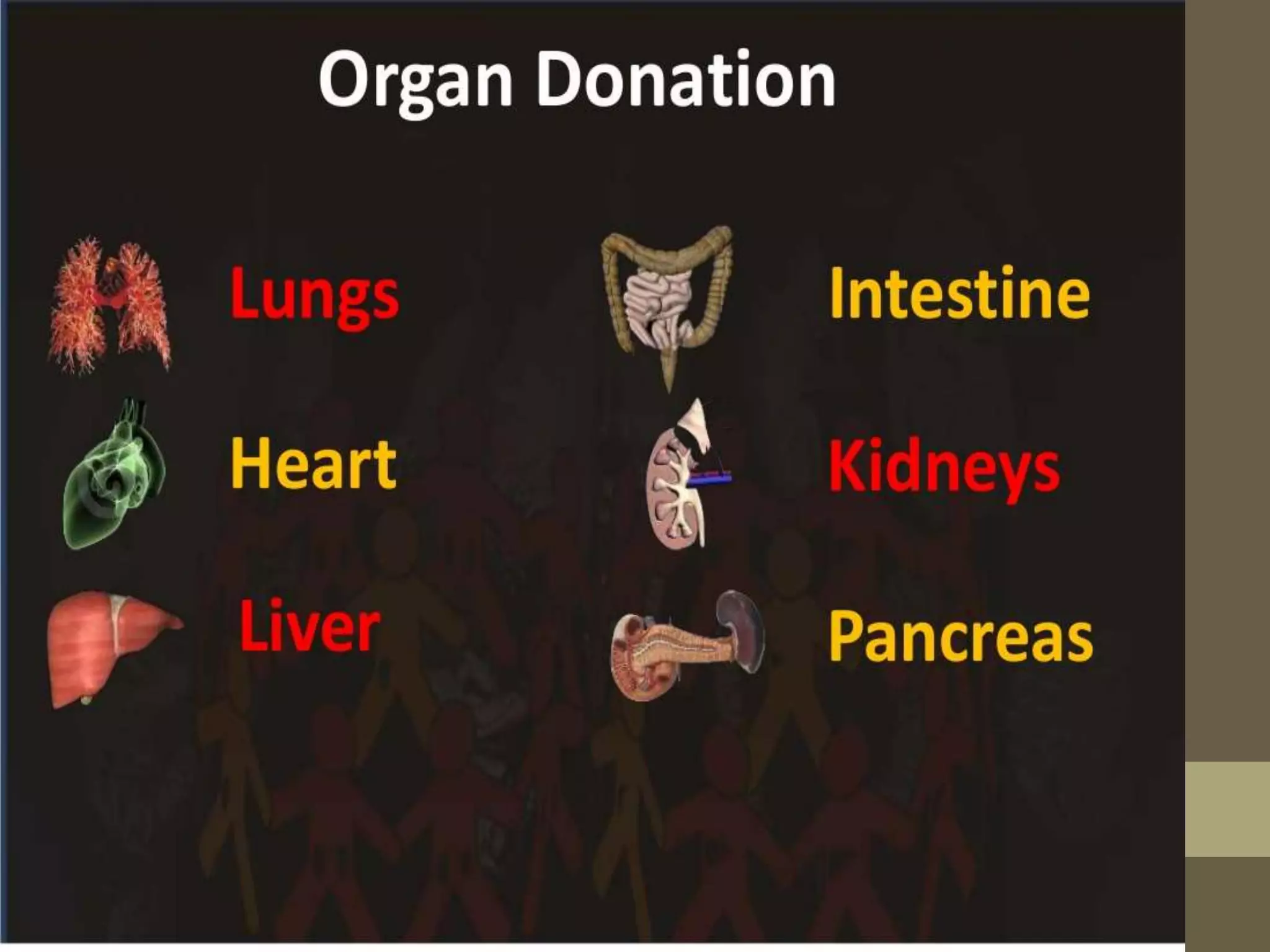 Organ donation copy | PPT
