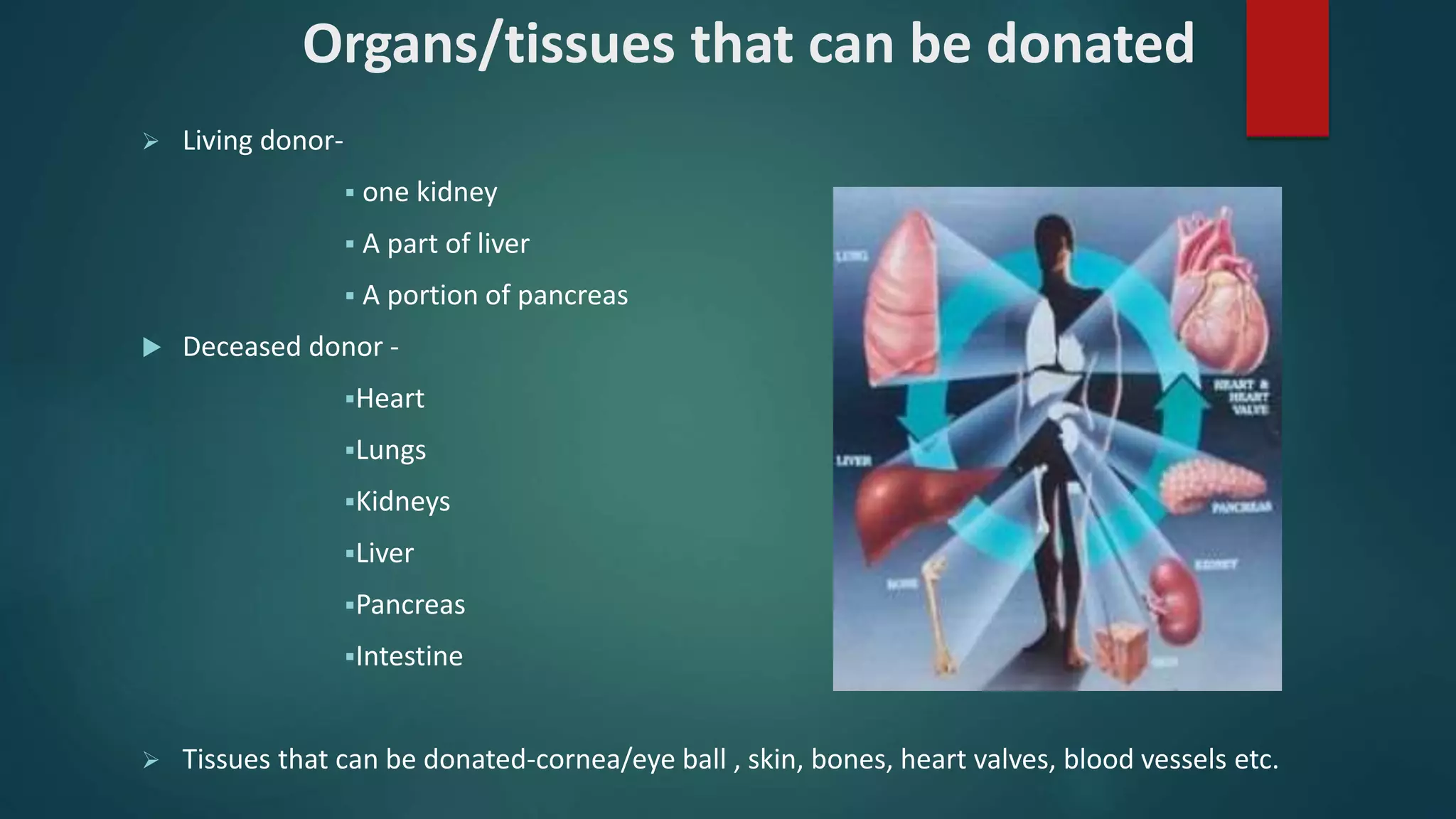 Organ donation and orbo seminar | PPTX
