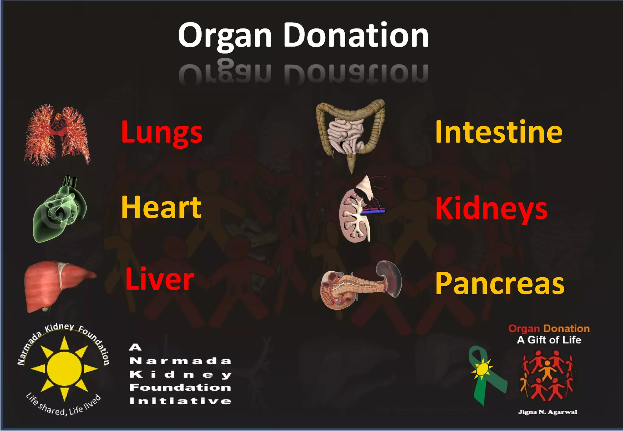 Organ Donation Awareness | PPT