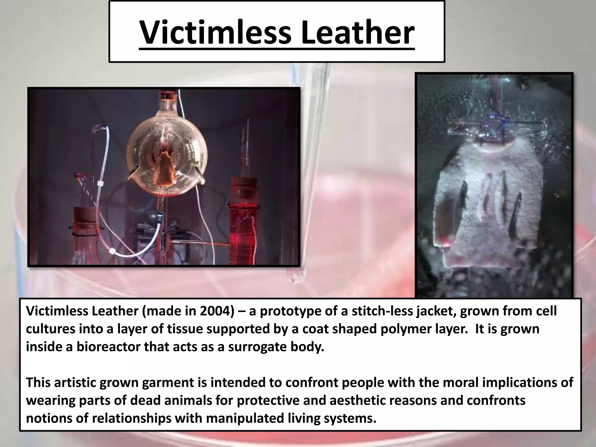 Organ and tissue engineering,examples, | PPTX